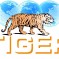 Tiger Group of Companies – OKAYAMA/TAKAHASHI JAPAN – TIANJING CHINA ...